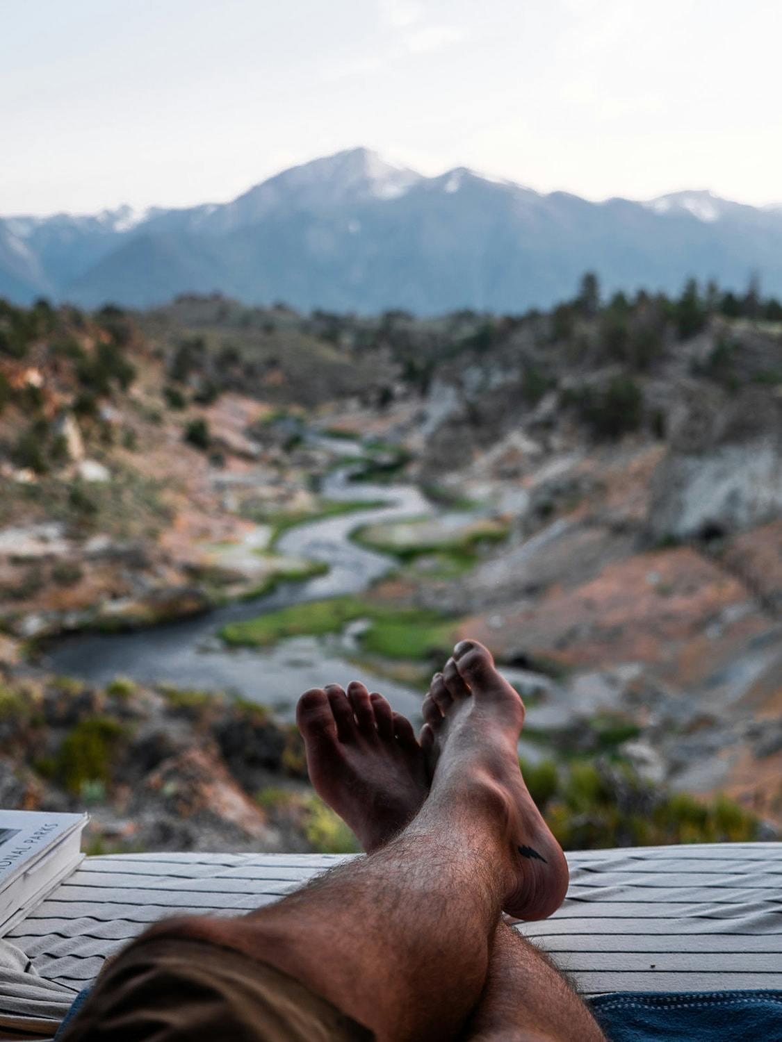 Meet Travis Wild: Writer, Photographer, Dog Dad - The Wanderful