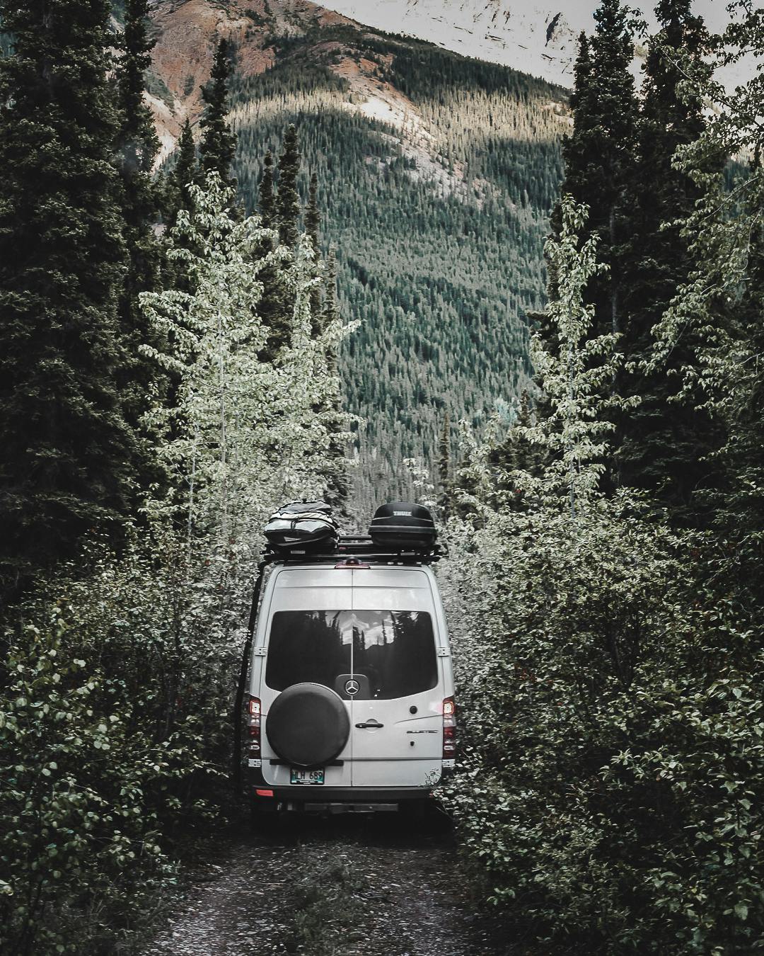 The Wanderful
